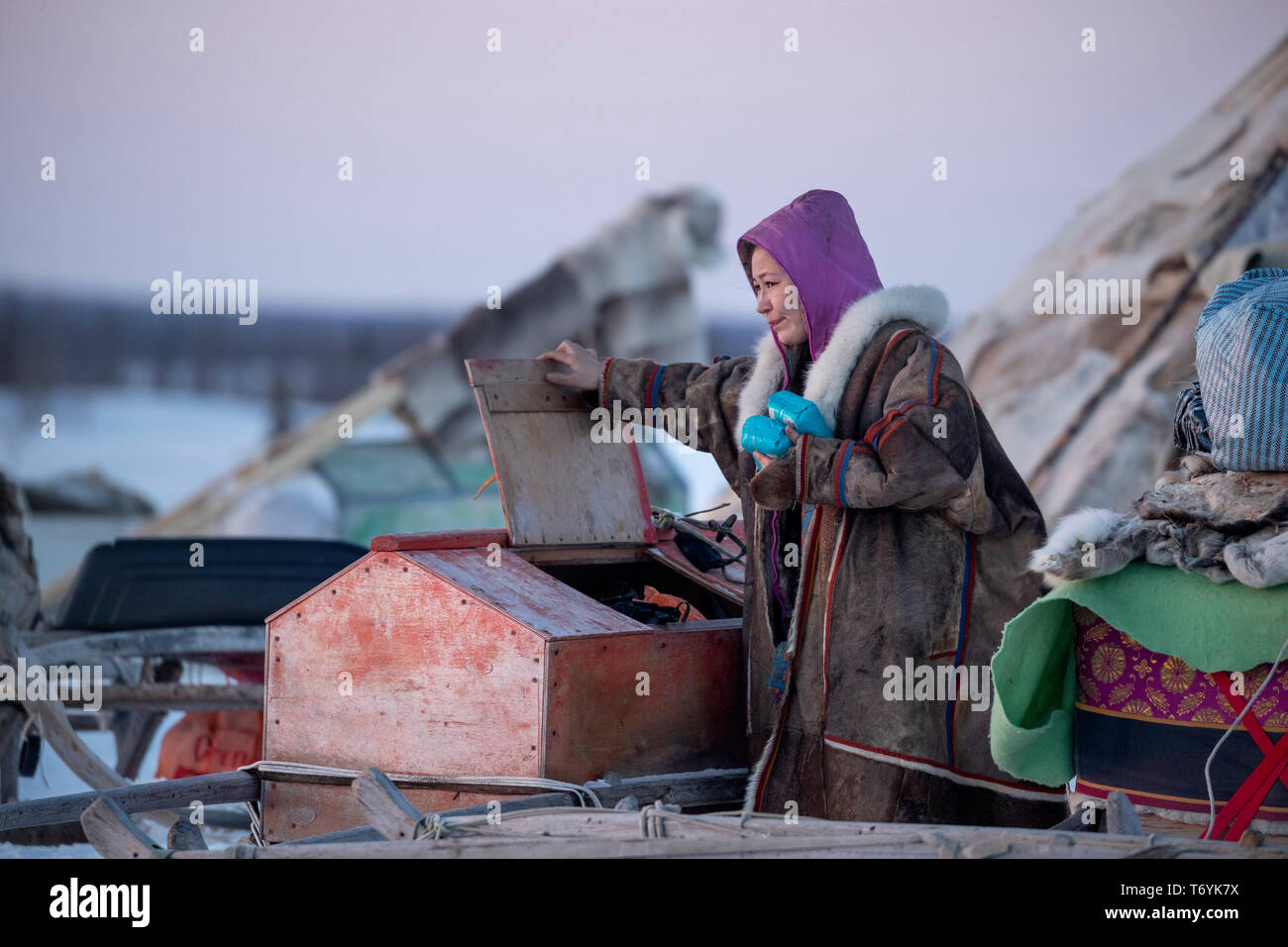 Russia, Yamal-Nenets Autonomous Region, Yamal peninsula, Nenets ...