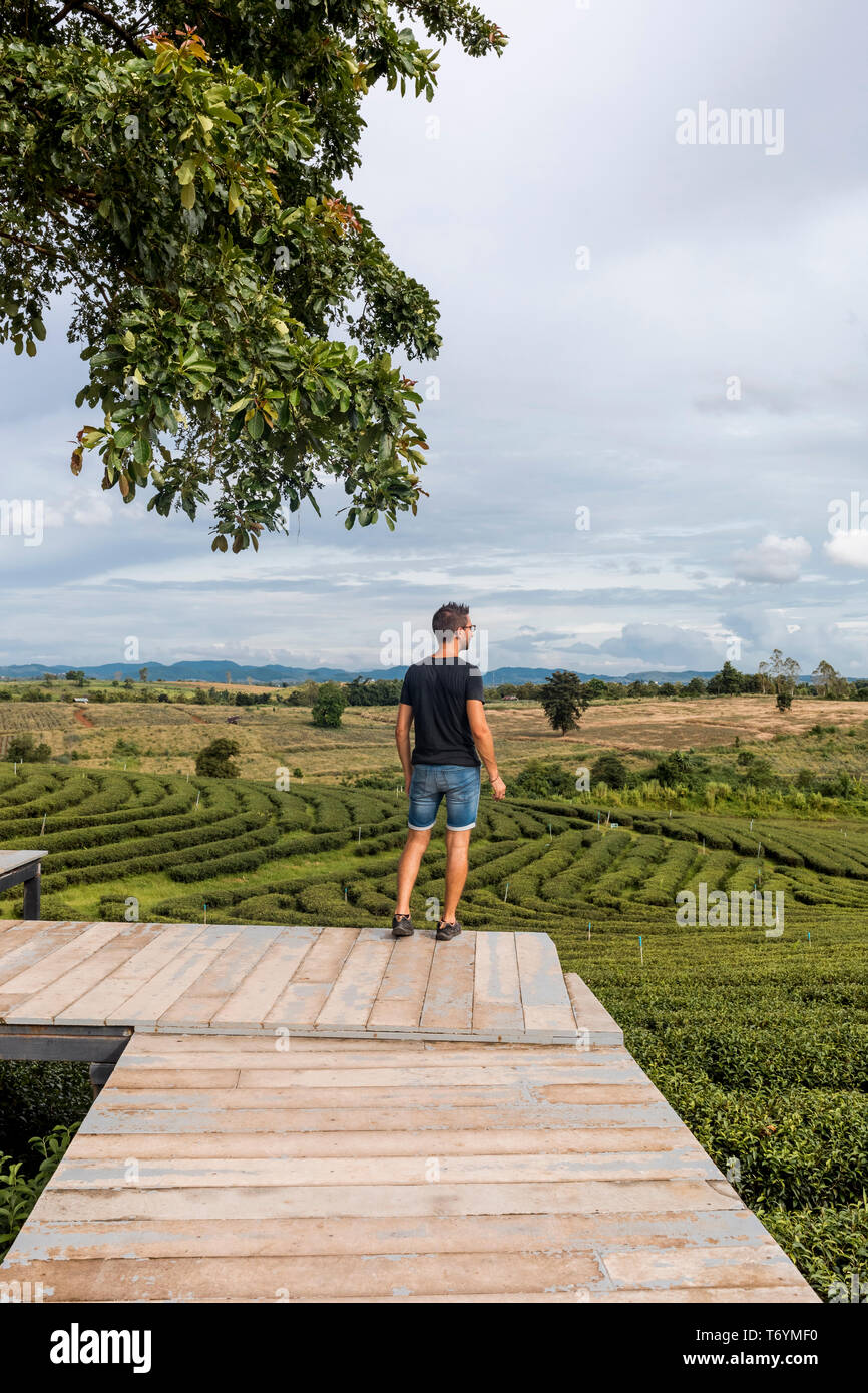 Farmer looking at green crops hi-res stock photography and images - Alamy