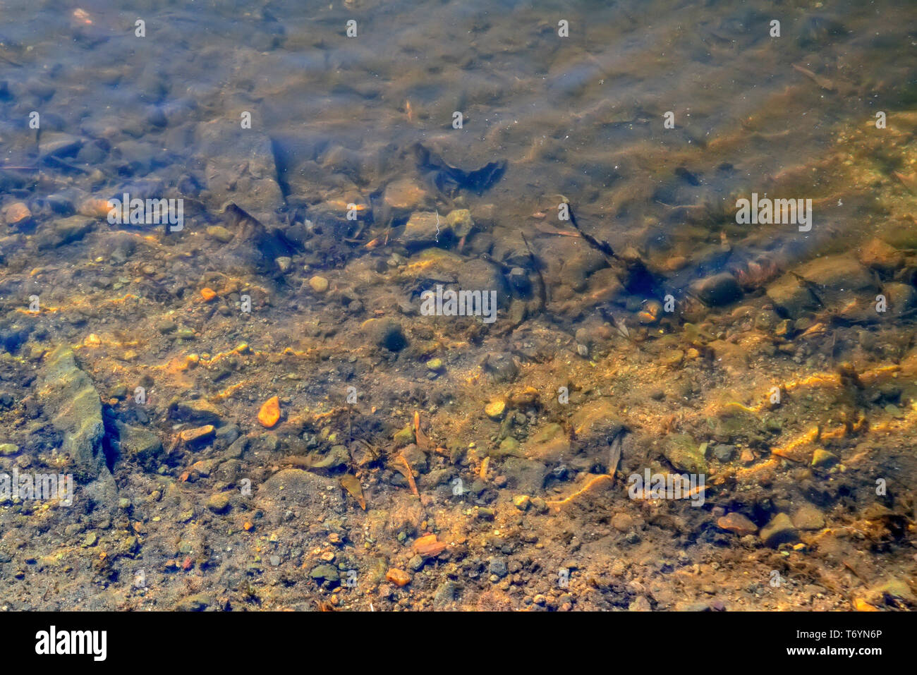 Texture of water surface. Can be used as background Stock Photo - Alamy