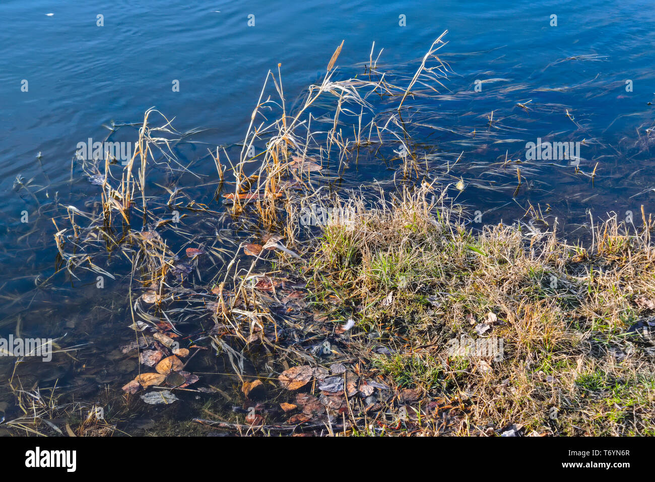 Texture of water surface. Can be used as background Stock Photo - Alamy