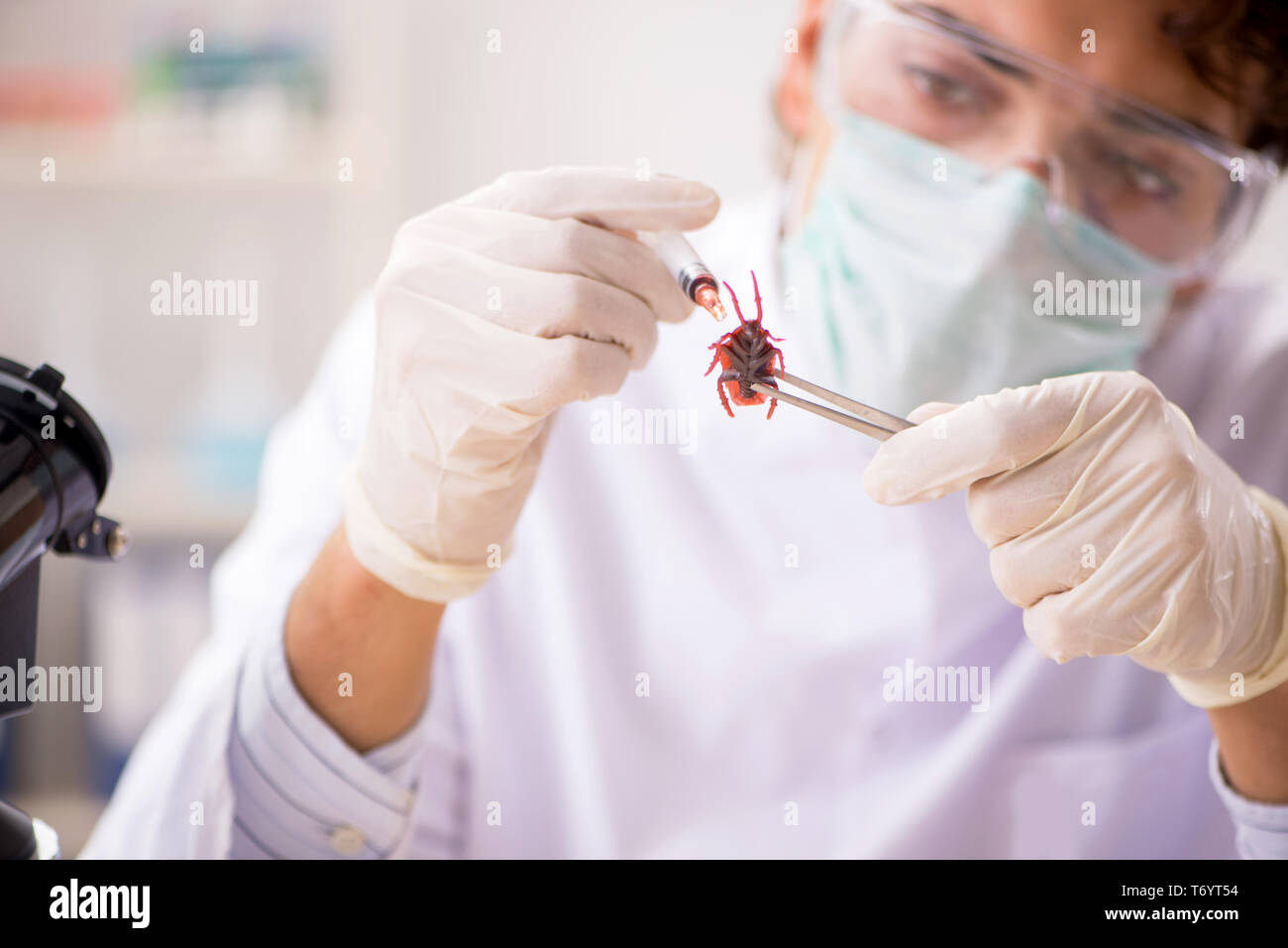 The male entomologist working in the lab on new species Stock Photo - Alamy