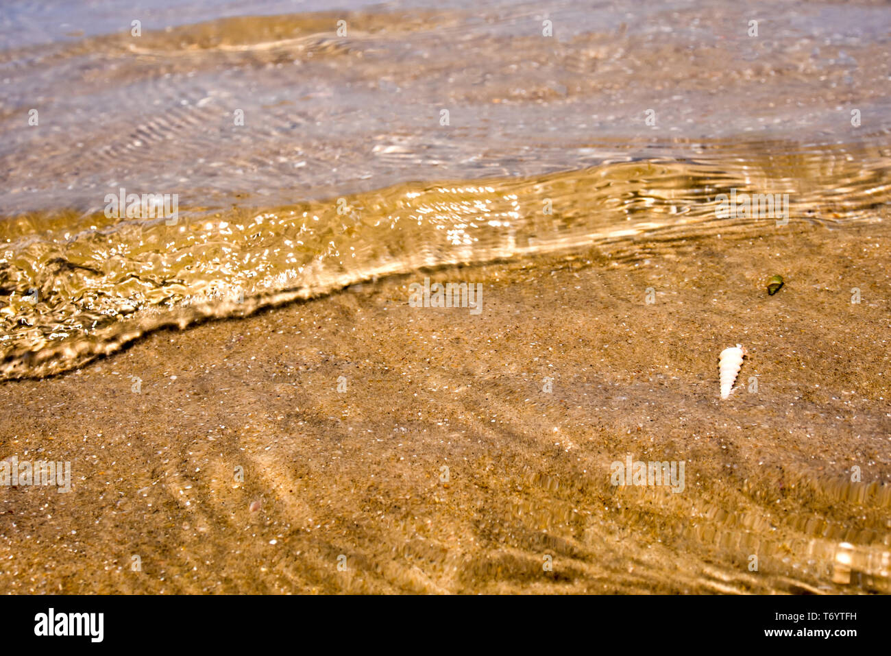 Reflection of sunlight on the moving sea water surface, sand beach and ...