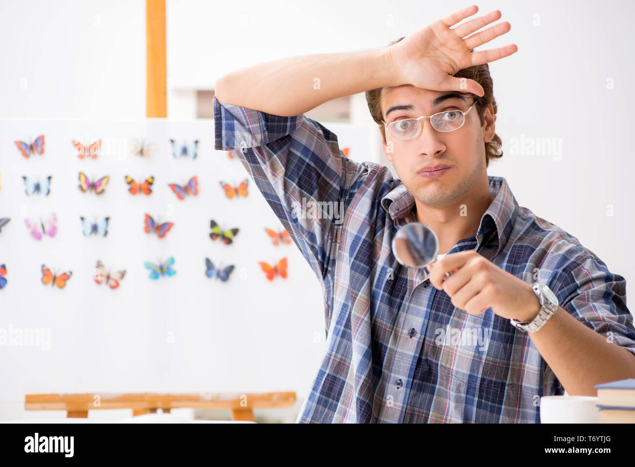 The student entomologist studying new species of butterflies Stock ...