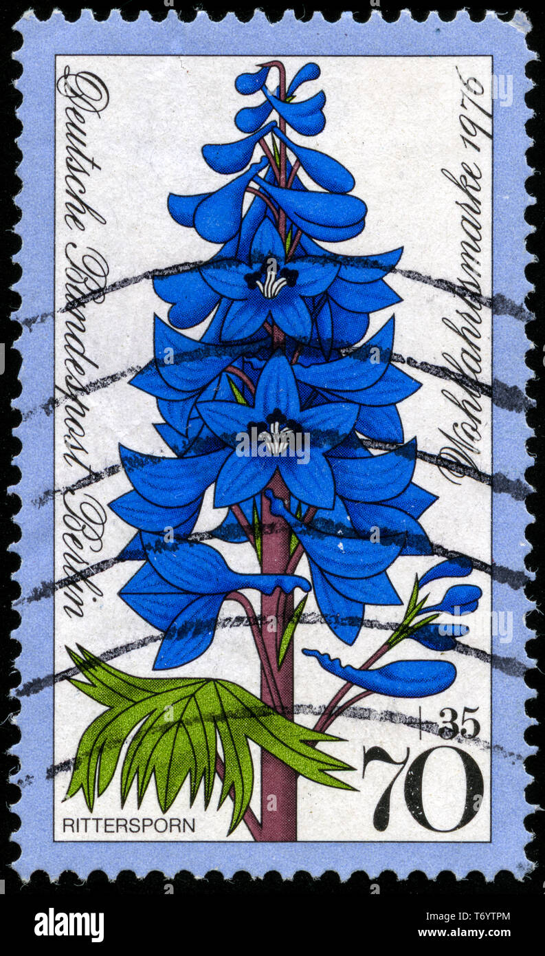 Postage stamp from the Berlin in the Welfare: Garden flowers series ...