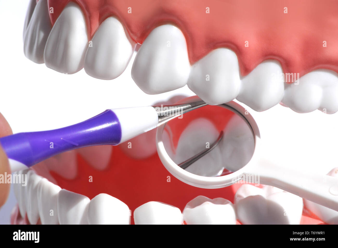 Ivories hi-res stock photography and images - Alamy