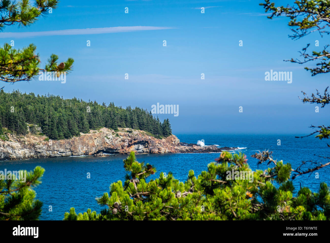 The Ocean Path Trail in Acadia National Park, Maine Stock Photo - Alamy