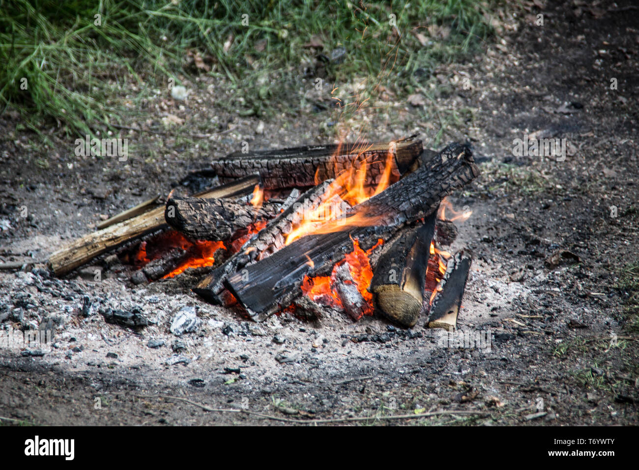 Campfire In The Forest High Resolution Stock Photography and Images - Alamy