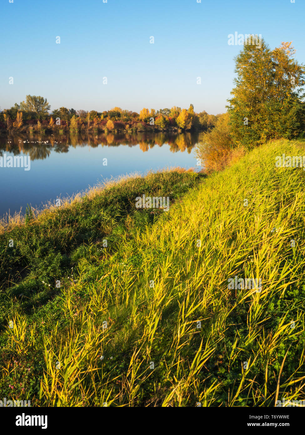 Autumn on the hi-res stock photography and images - Alamy