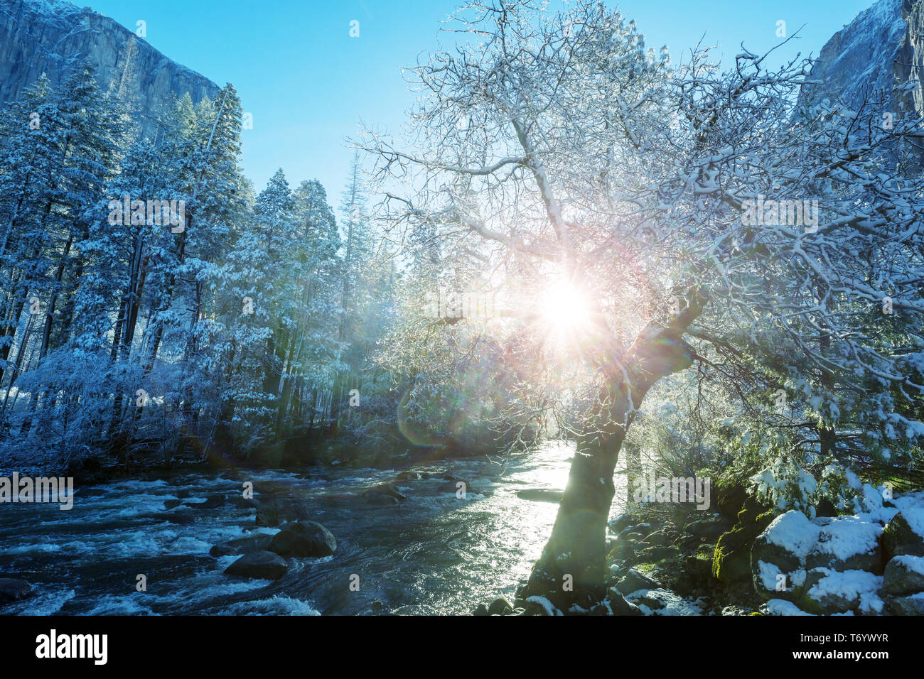 Early spring in Yosemite Stock Photo - Alamy