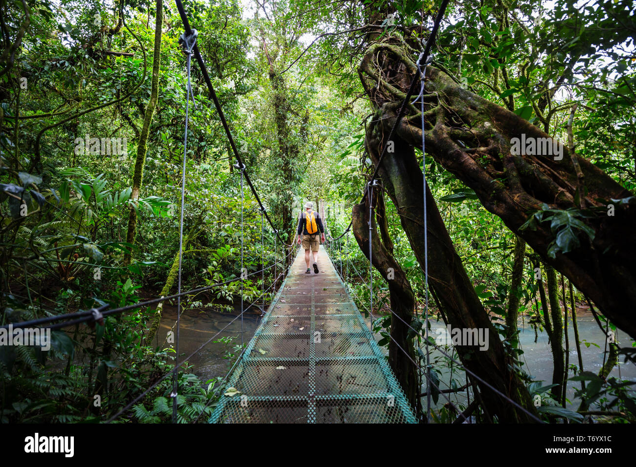 Bridge in Costa Rica Stock Photo - Alamy