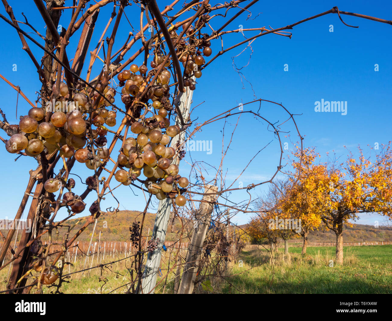 Grabes hi-res stock photography and images - Alamy