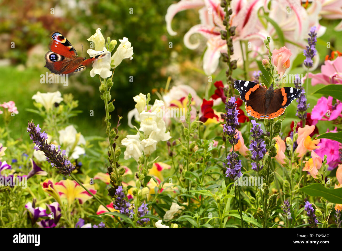 504 hi-res stock photography and images - Alamy