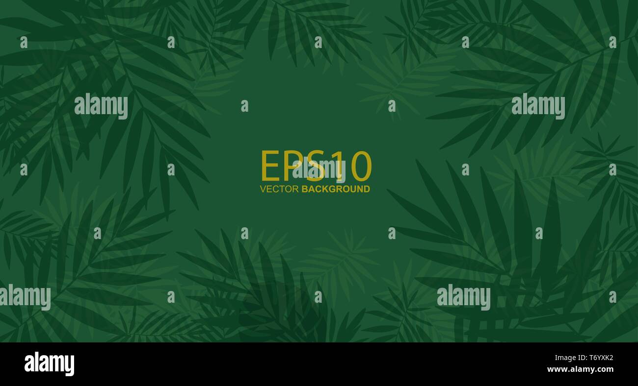 Green fern leaves pattern Stock Vector Images - Alamy