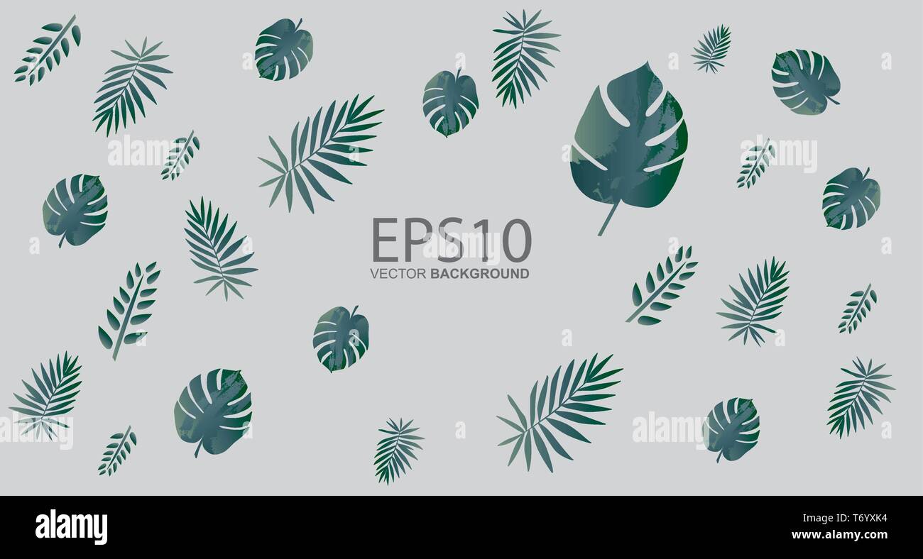 Green fern leaf closeup Stock Vector Images - Alamy