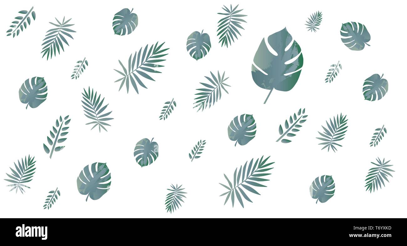 Amazon rainforest interior Cut Out Stock Images & Pictures - Alamy