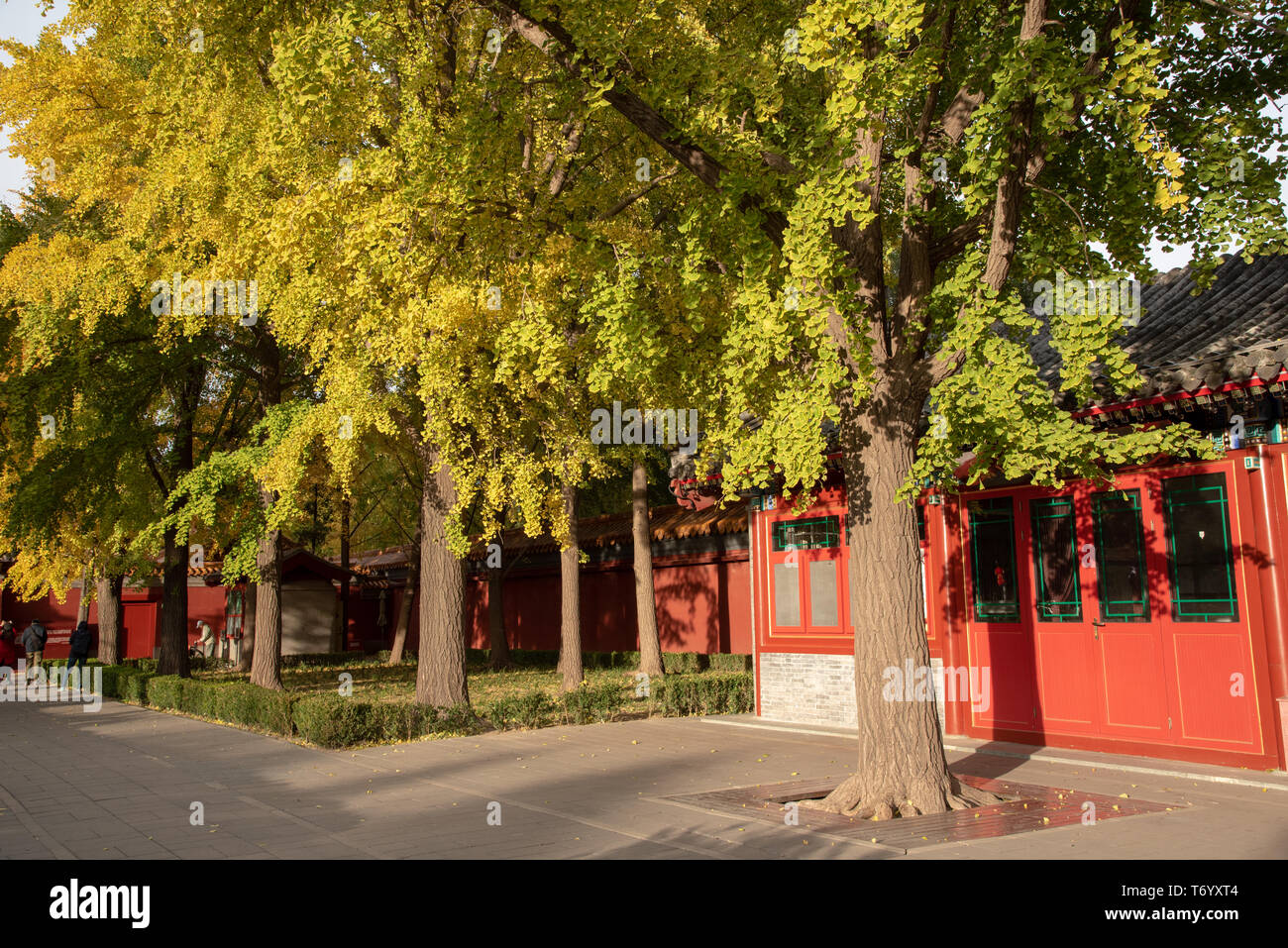 Chinese Court Stock Photos & Chinese Court Stock Images - Alamy