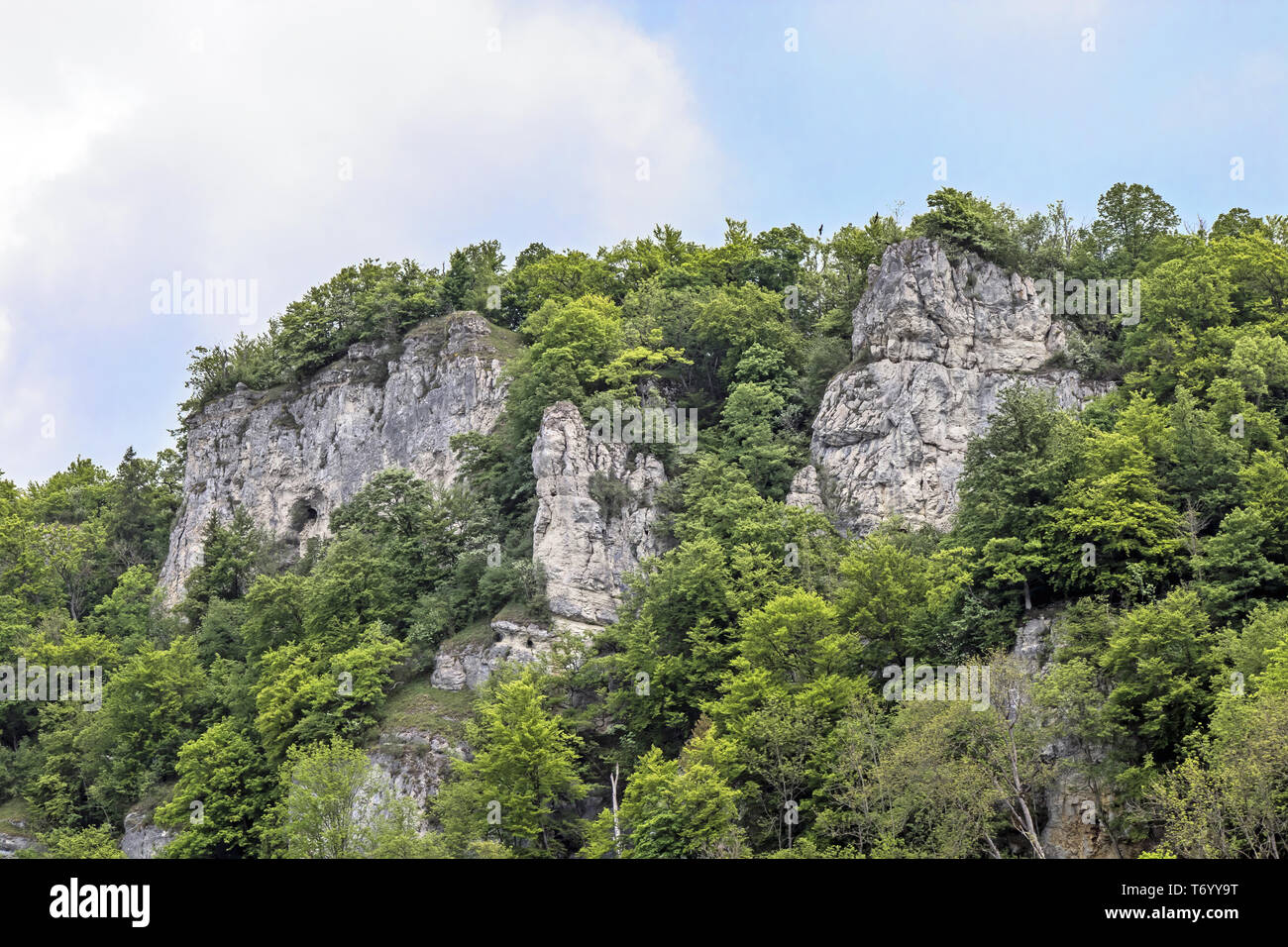 Rock formation in the Danube Valley near Beuron Stock Photo - Alamy