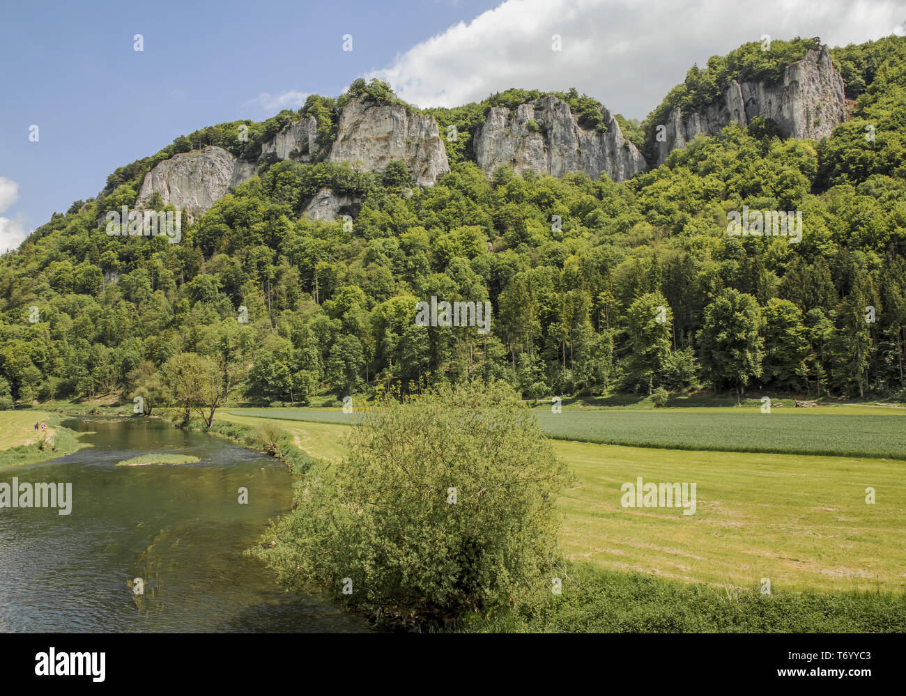 Rock formation in the Danube Valley near Beuron Stock Photo - Alamy