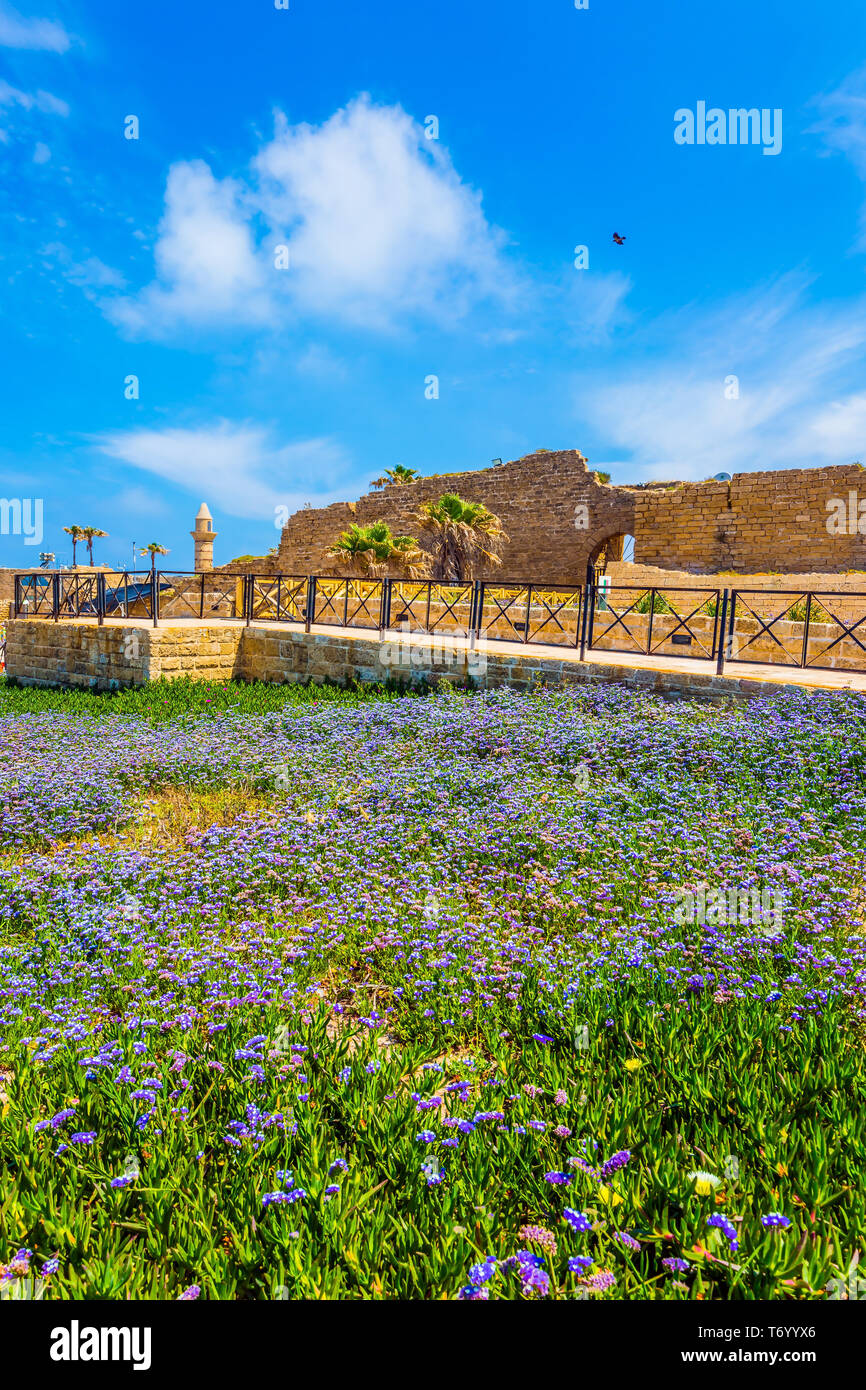 Seashore culture hi-res stock photography and images - Alamy