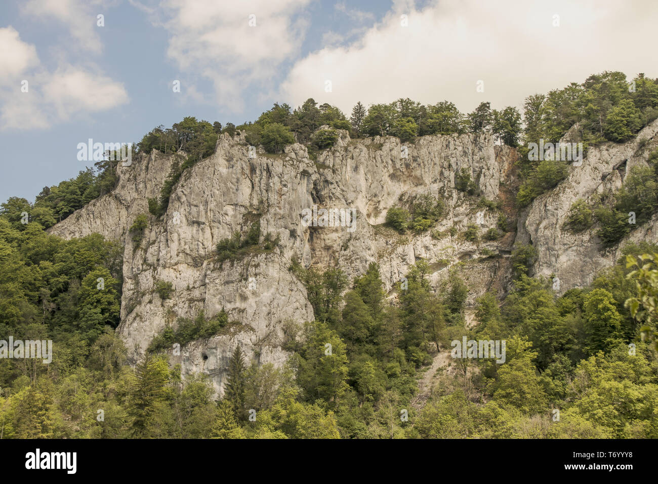 Rock formation in the Danube Valley near Beuron Stock Photo - Alamy