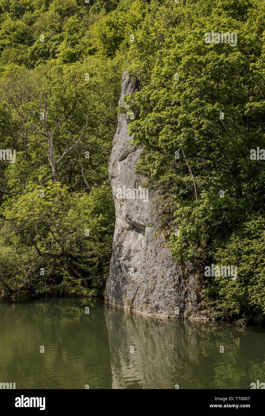 Rock formation in the Danube Valley near Beuron Stock Photo - Alamy