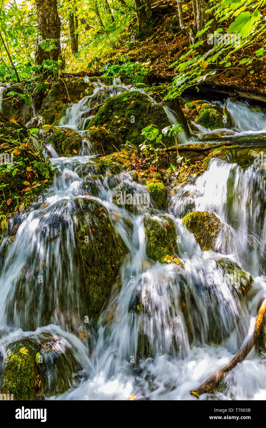 Thick forest and waterfall hi-res stock photography and images - Alamy