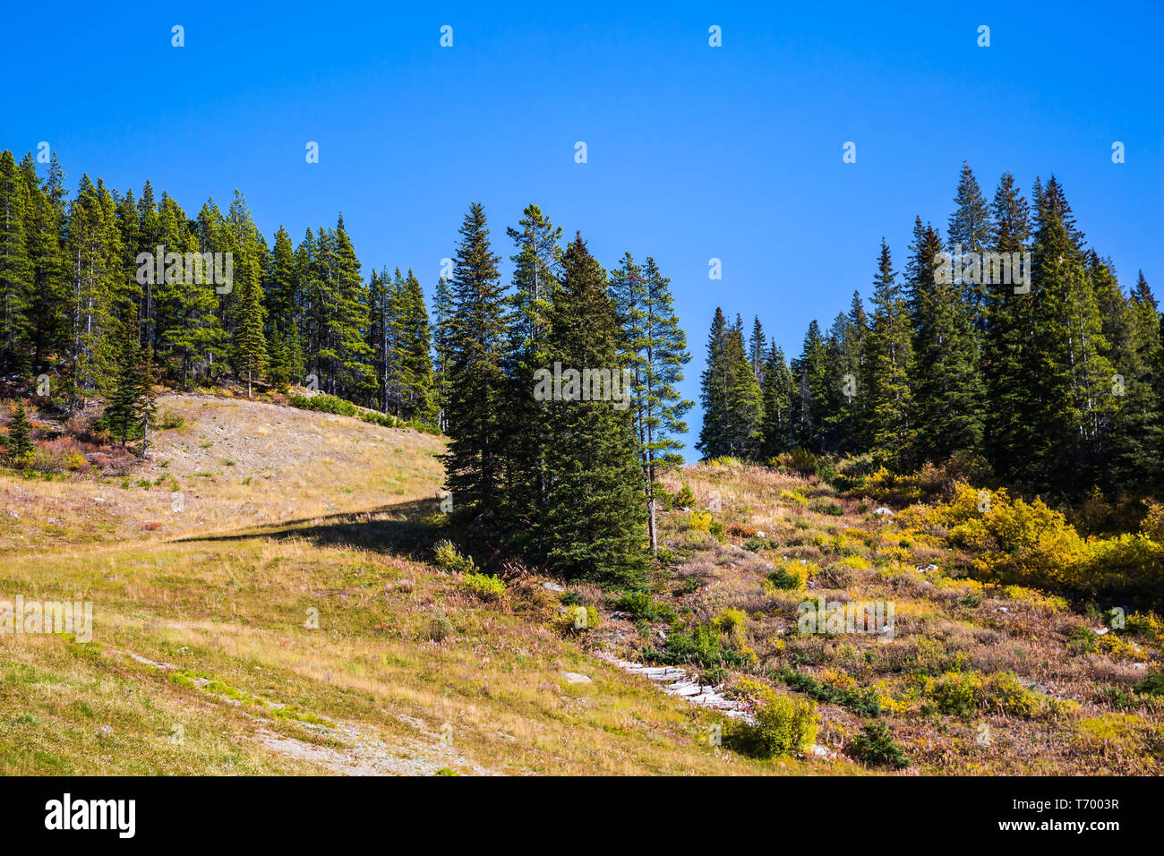Green rocky slopes hi-res stock photography and images - Alamy