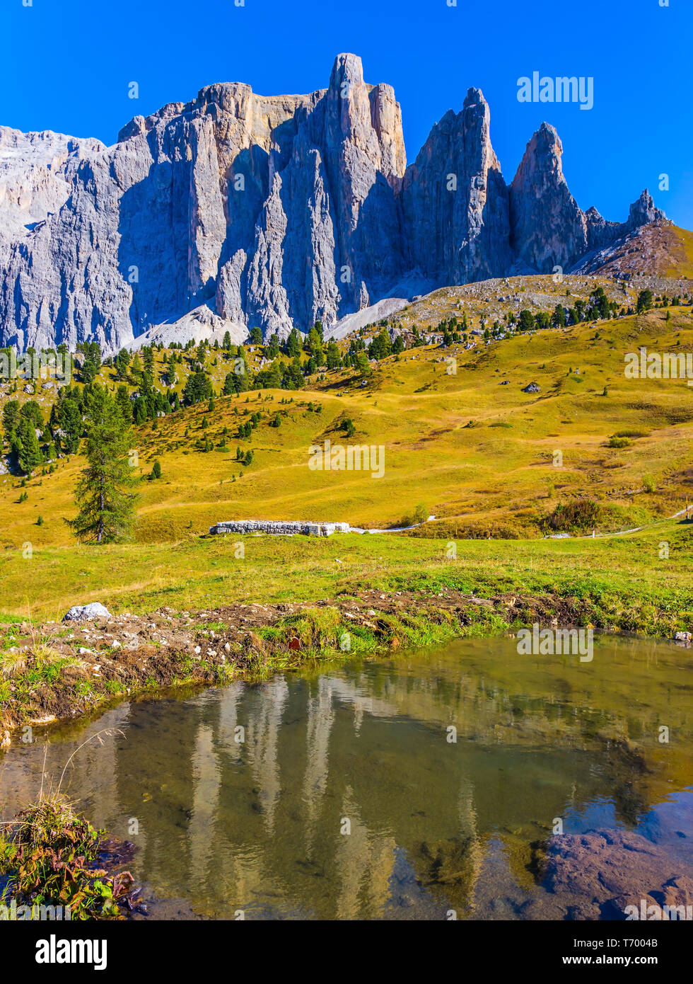 Puddle in the nature hi-res stock photography and images - Alamy