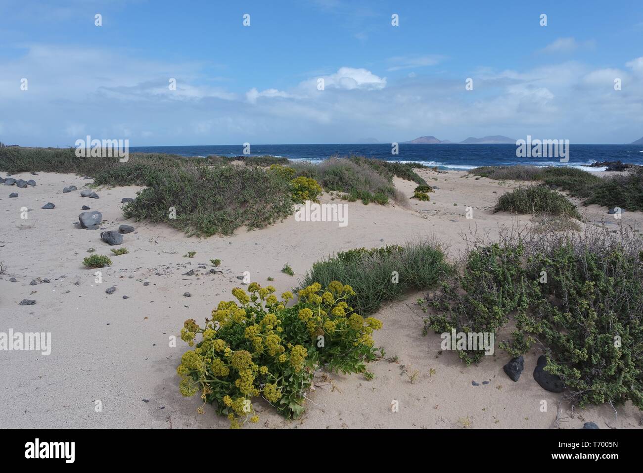 Playa de famara at caleta de famara hi-res stock photography and images ...
