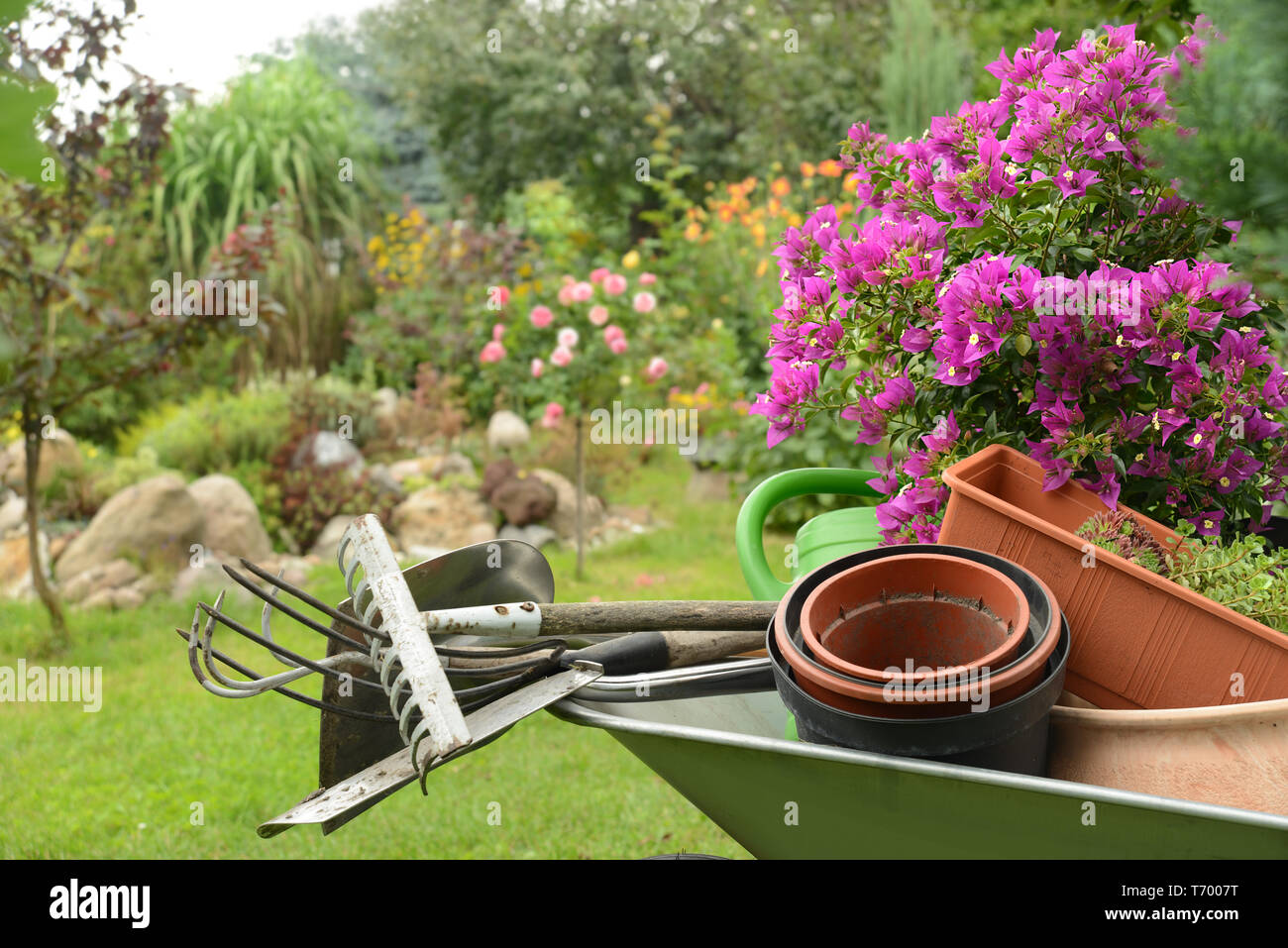 451 hi-res stock photography and images - Alamy