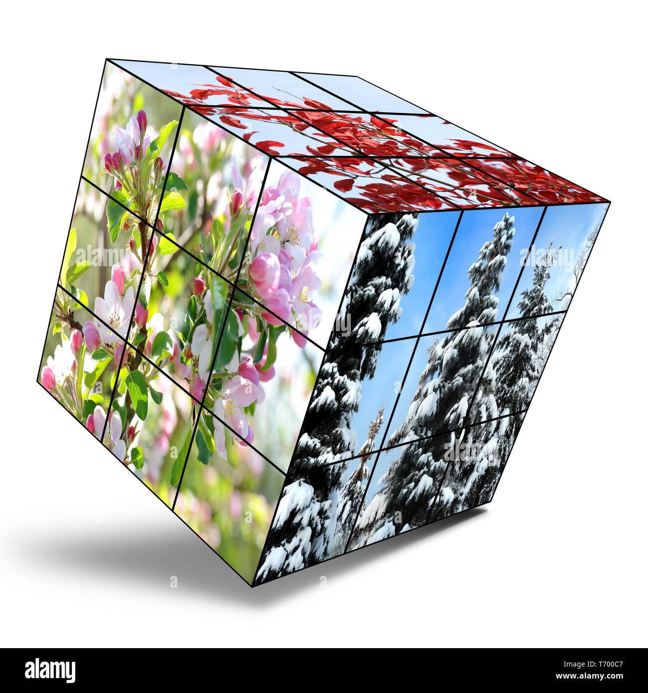 24 dice hi-res stock photography and images - Alamy