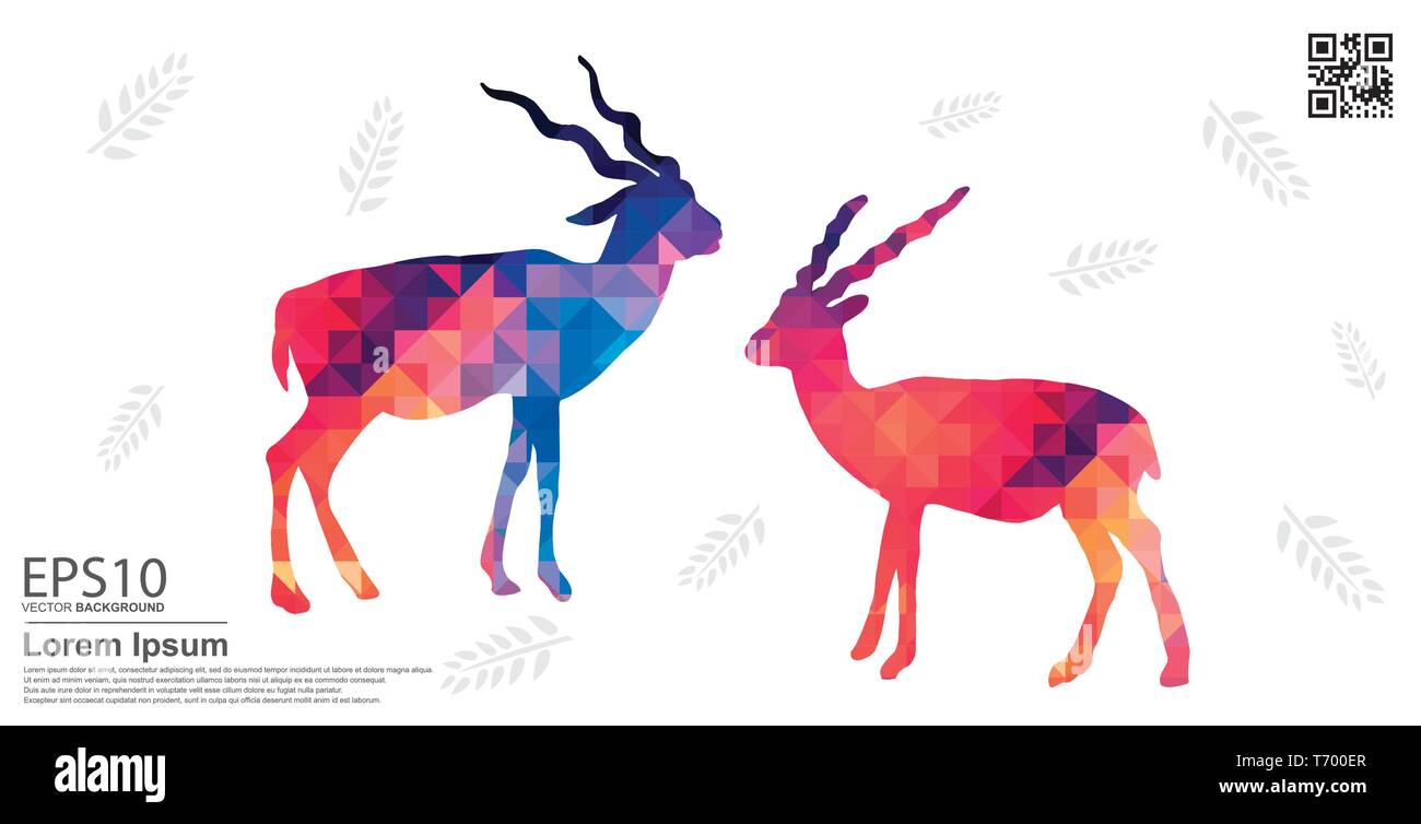 Blackbuck buck Stock Vector Images - Alamy