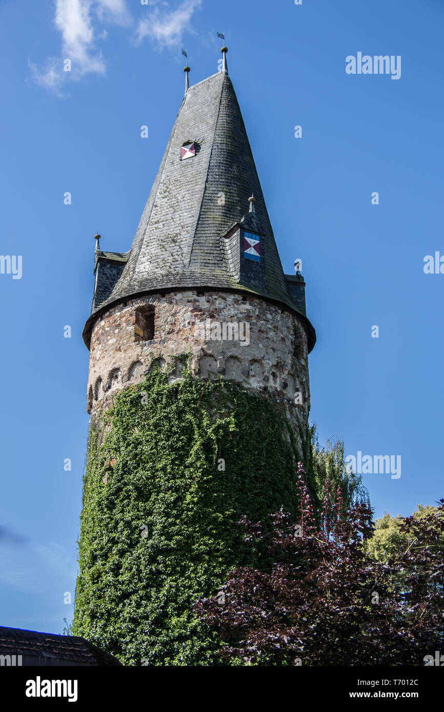 Owl tower in Dierdorf Westerwald Stock Photo - Alamy