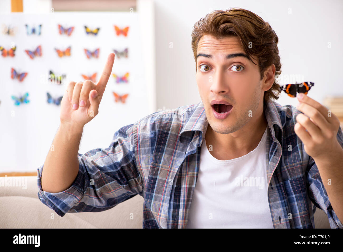 Student entomologist studying new species of butterflies Stock Photo ...