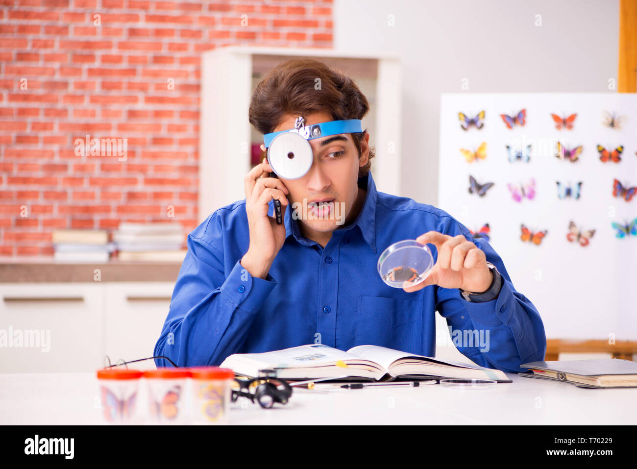 Studying insect species hi-res stock photography and images - Alamy
