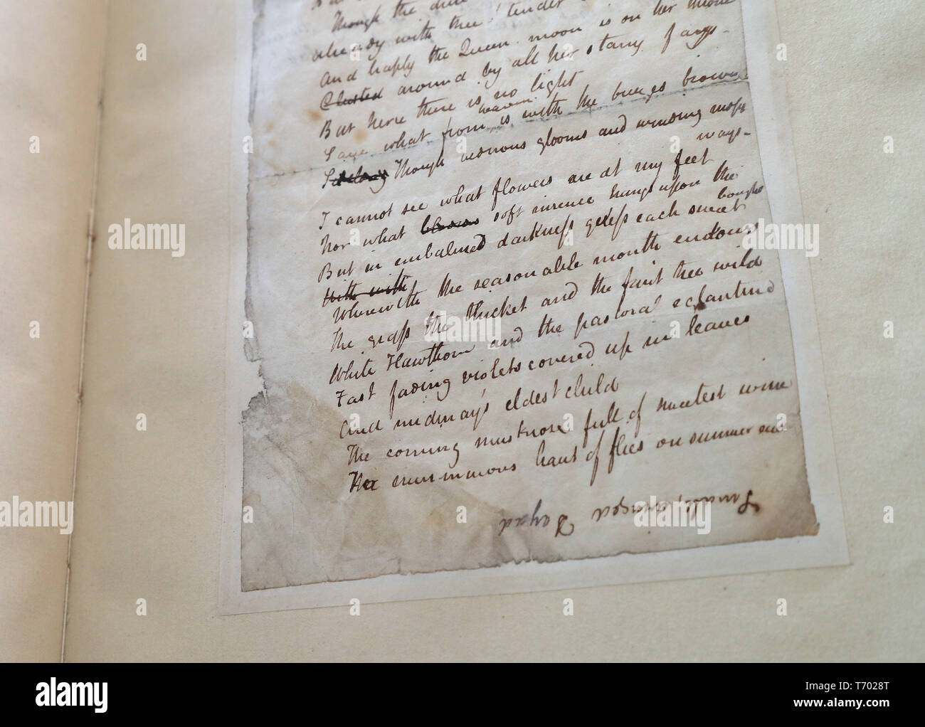 A view of Ode to a Nightingale, one of John Keats' most popular and ...