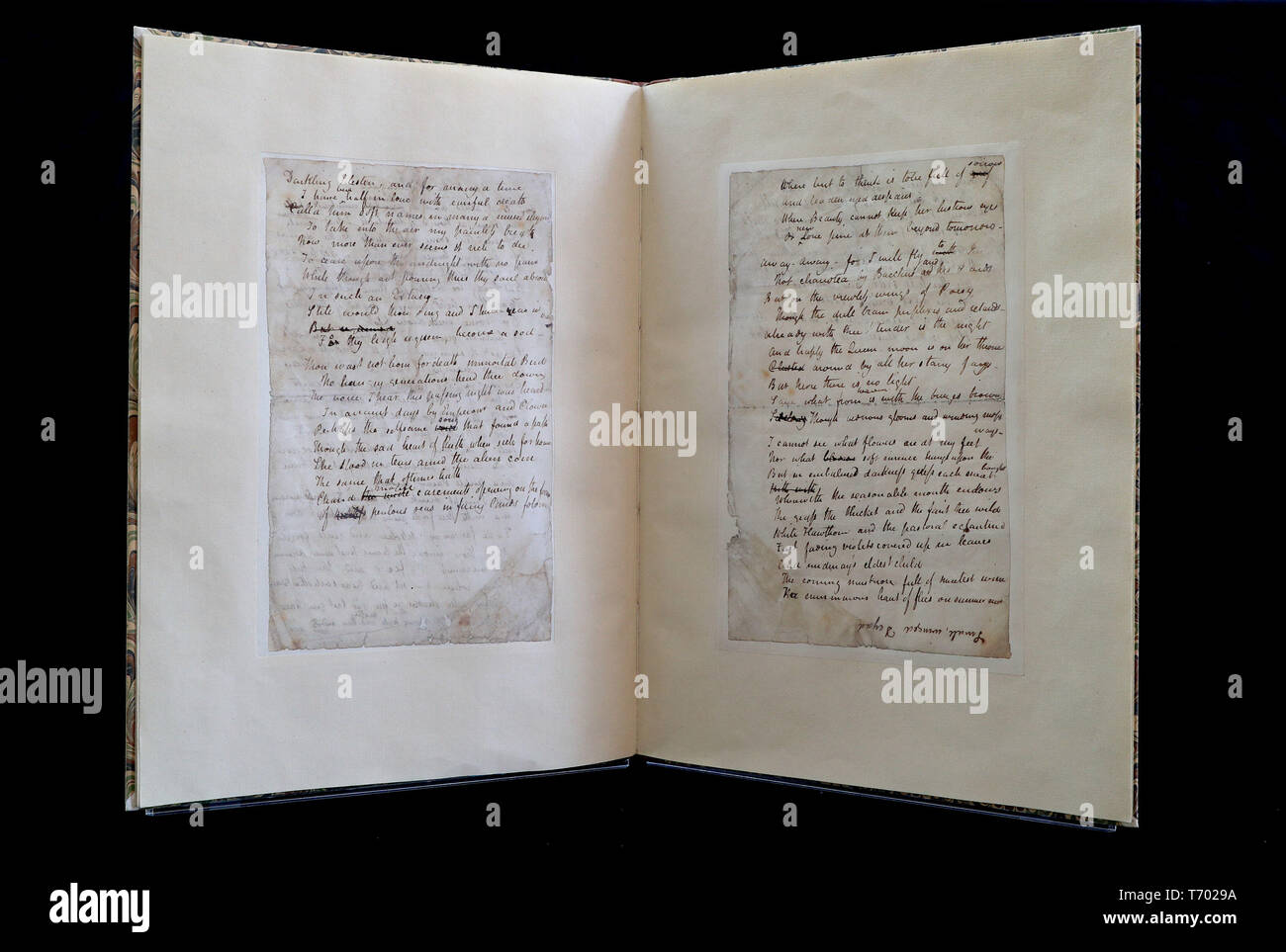 A view of Ode to a Nightingale, one of John Keats' most popular and ...