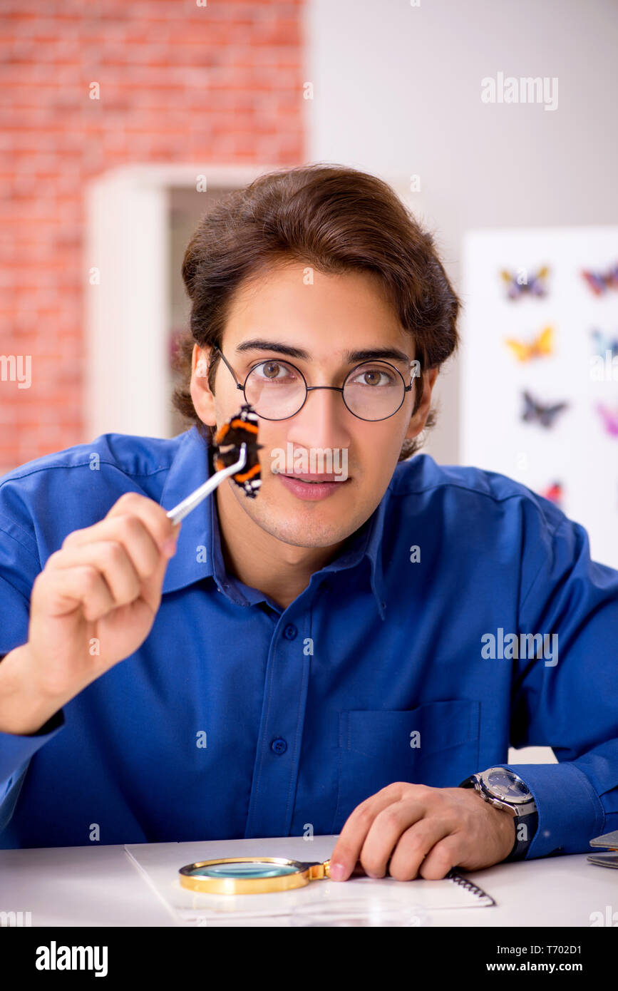 Student entomologist studying new species of butterflies Stock Photo ...