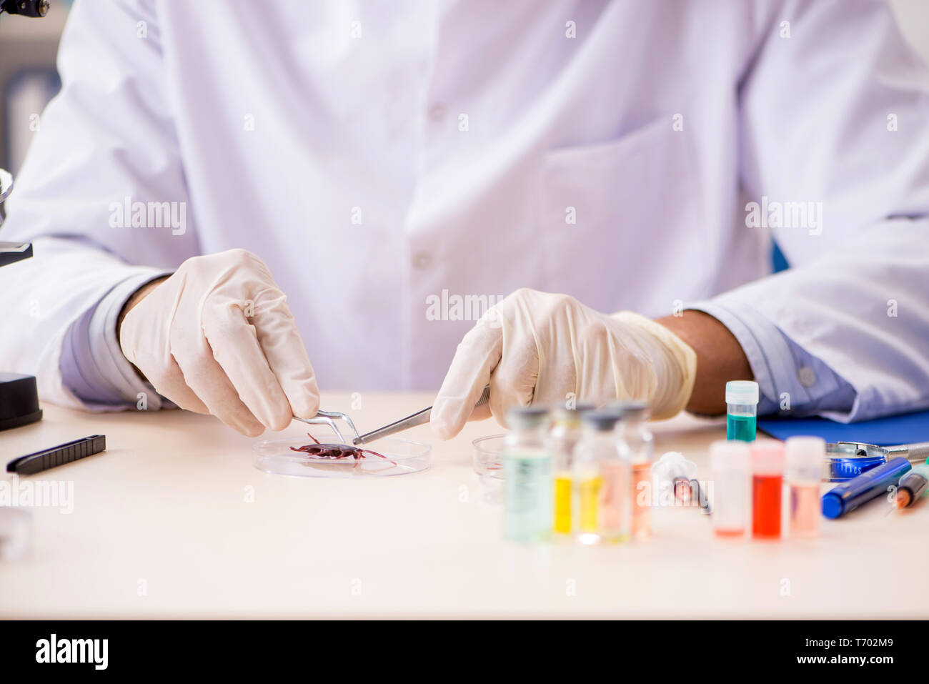 Male entomologist working in the lab on new species Stock Photo - Alamy