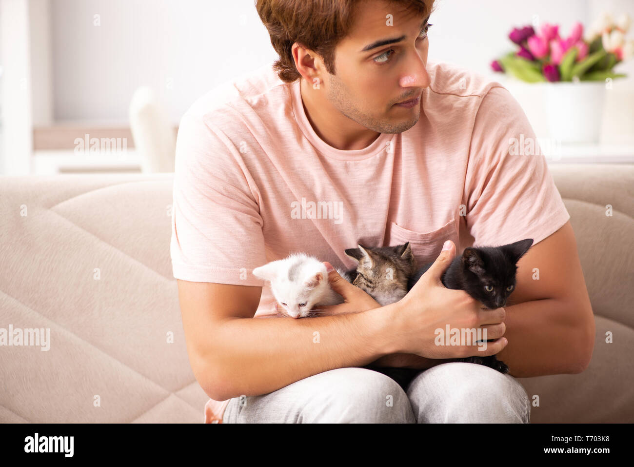 Man holding cats paw hi-res stock photography and images - Alamy