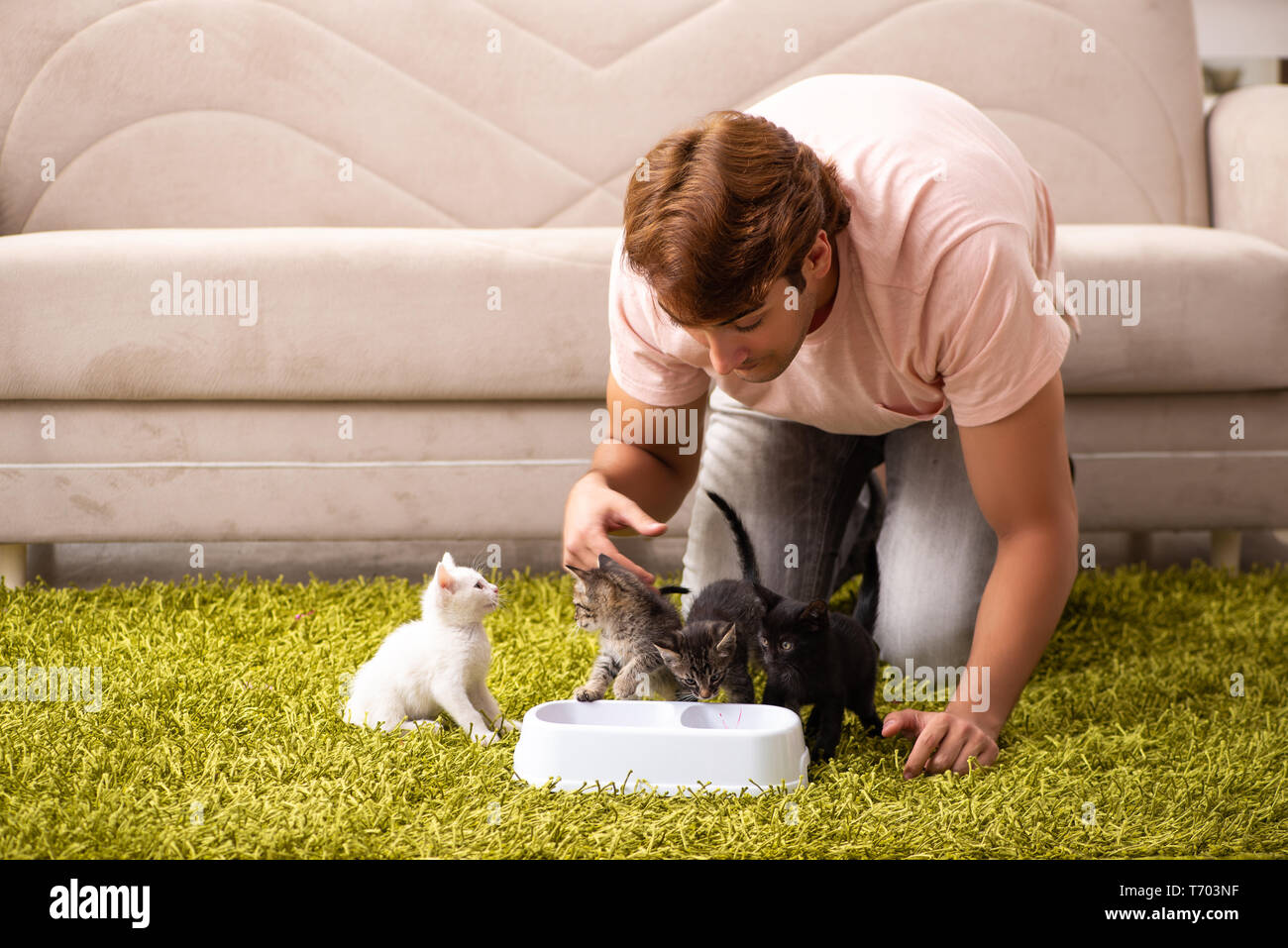Man holding cats paw hi-res stock photography and images - Alamy
