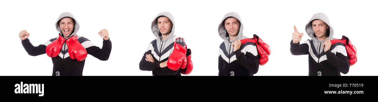 Funny boxer isolated on the white Stock Photo - Alamy
