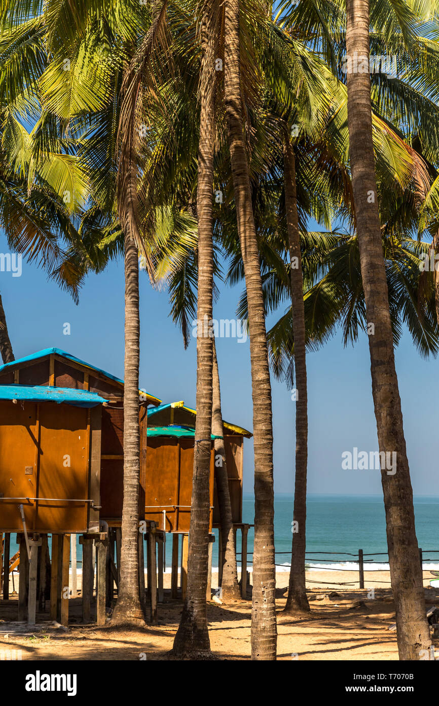 Beach huts under palm trees. Goa, India Stock Photo - Alamy