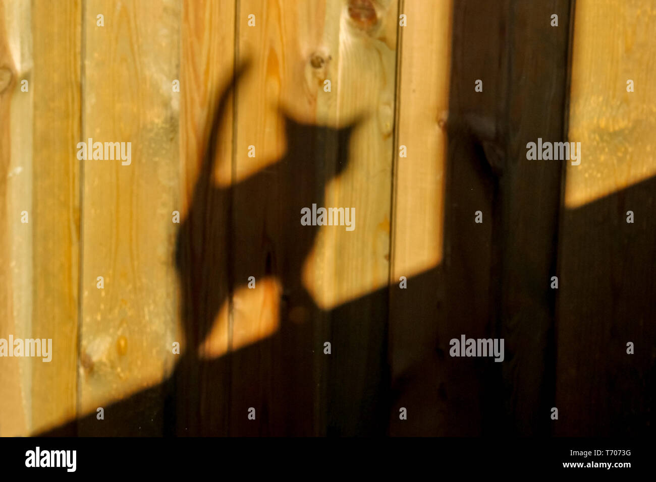 Funny shadow on wall hi-res stock photography and images - Alamy