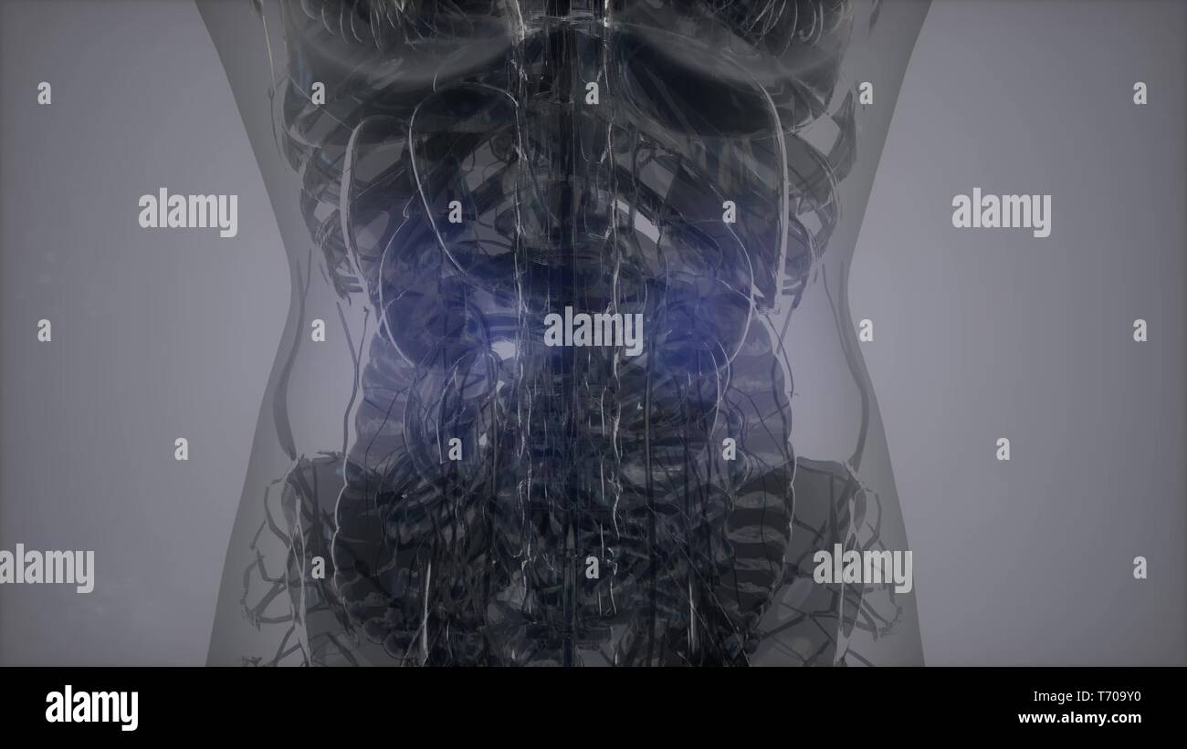 3D magnetic resonance image scan Stock Photo - Alamy