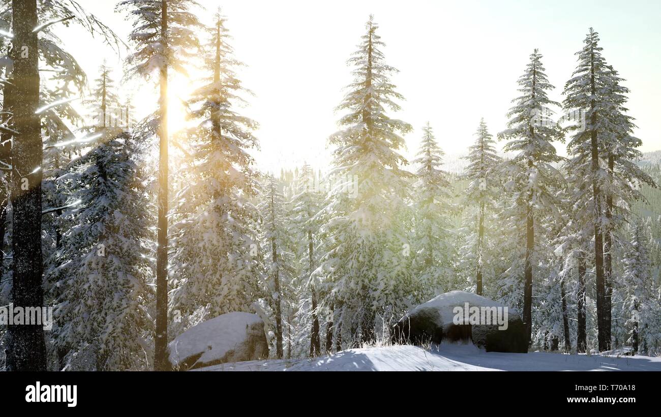 4k landscape footage hi-res stock photography and images - Alamy