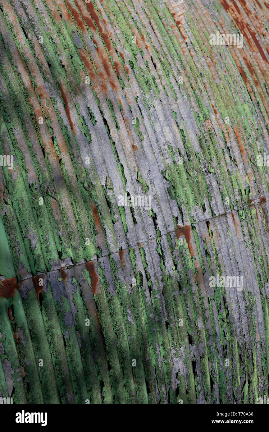 Corrugated steel wall to dilapidated Nissen hut building with flaking ...