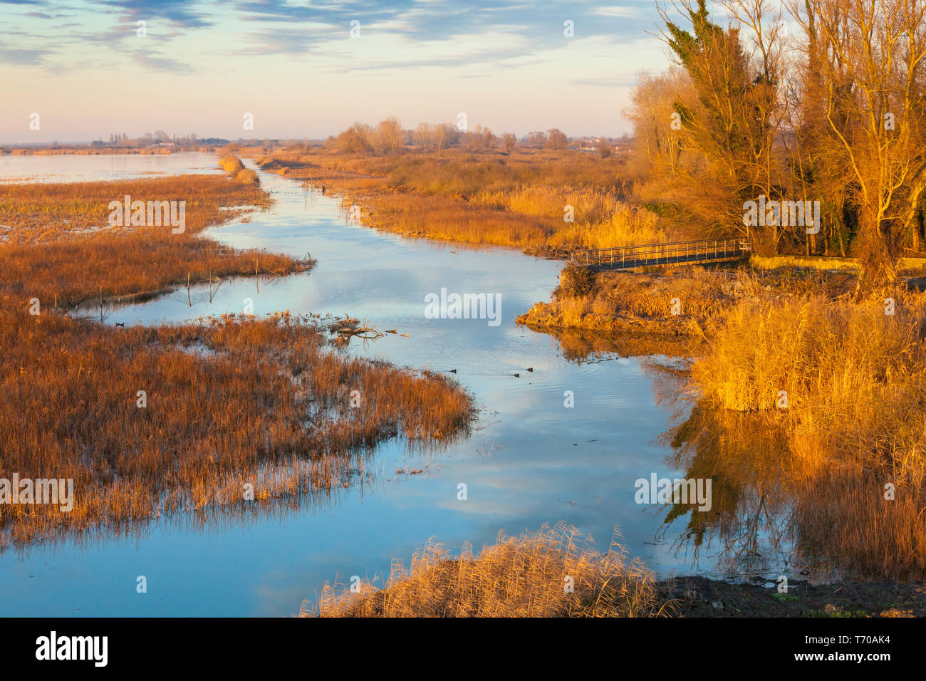 Comacchio hi-res stock photography and images - Alamy