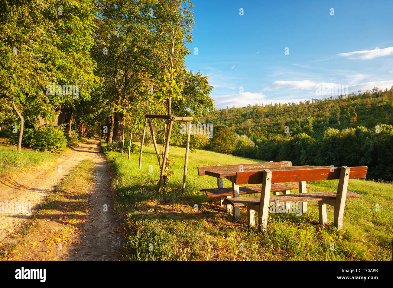 Indian woodlands hi-res stock photography and images - Alamy