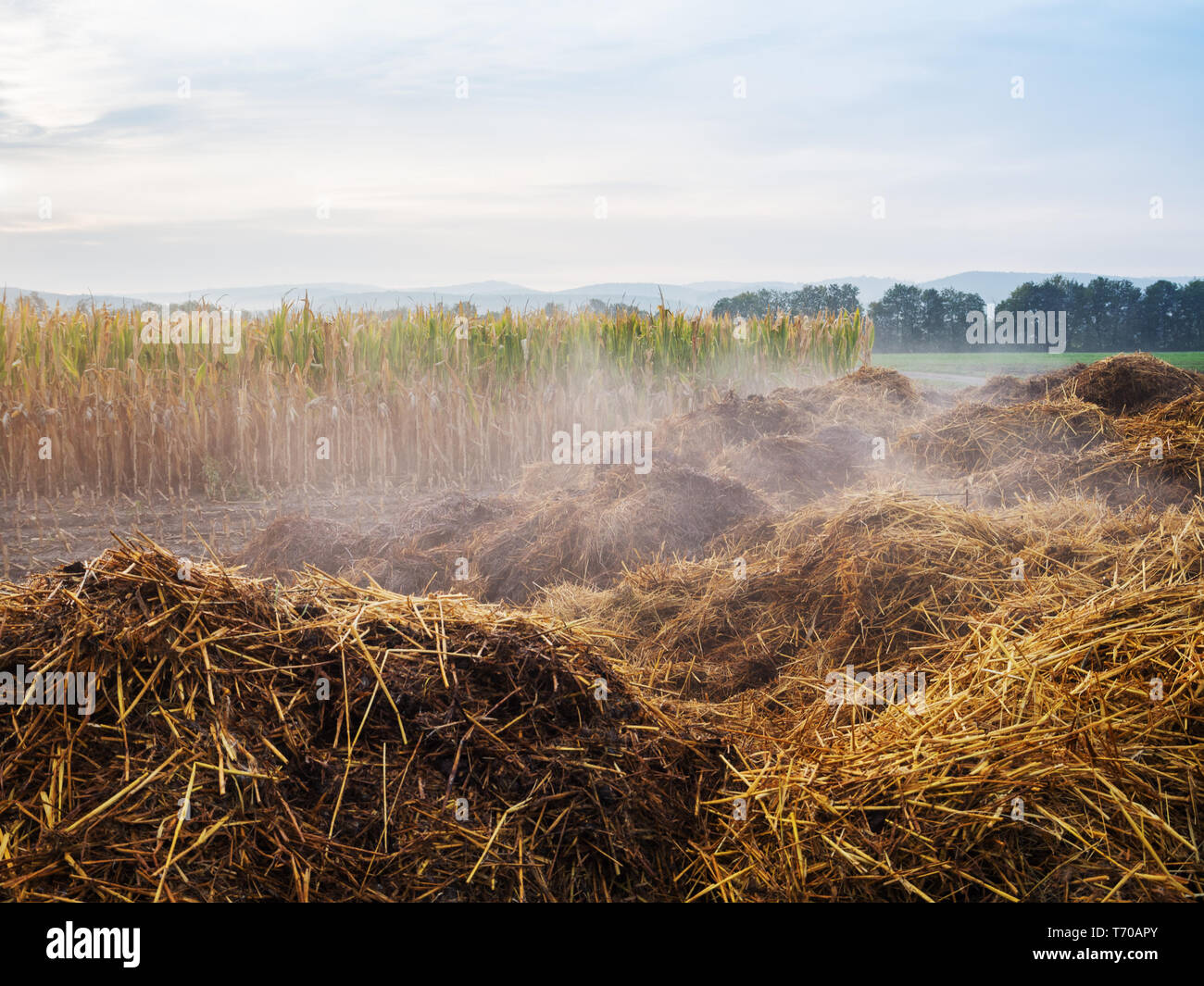 Crap hi-res stock photography and images - Alamy